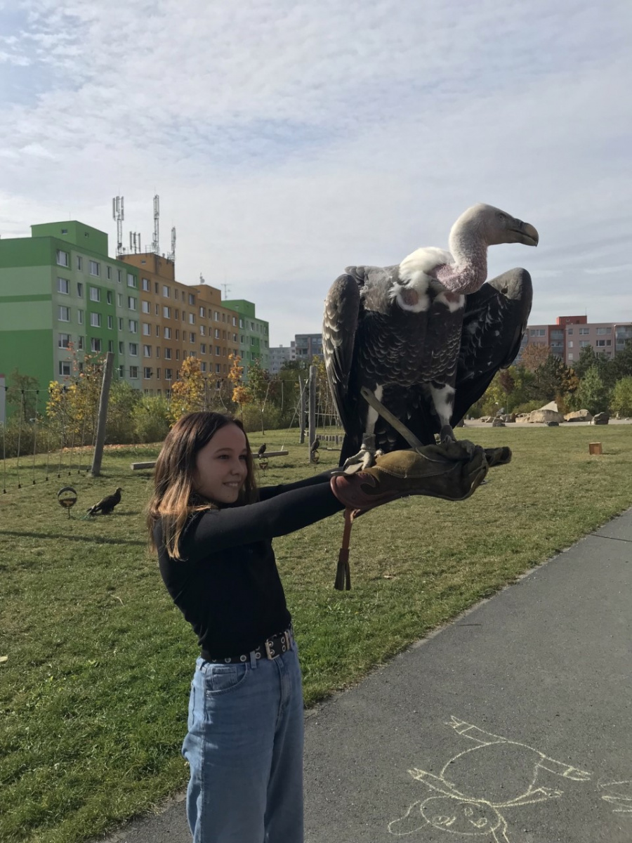 School Press Club - školní noviny snadno a rychle